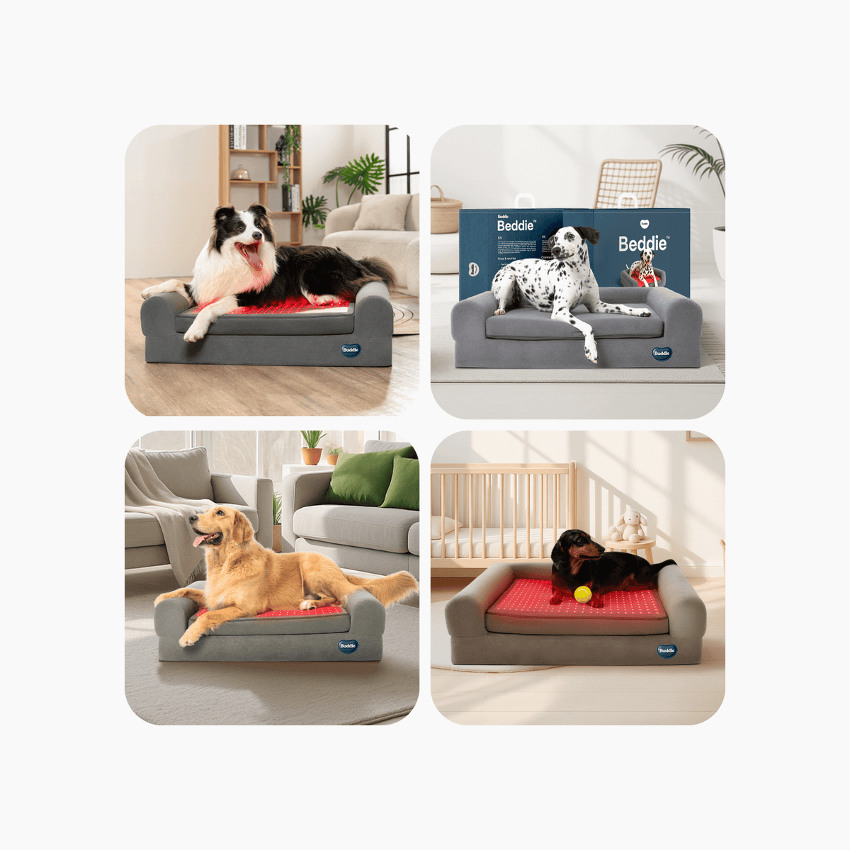 Beddie™ Pet Therapy Bed – Buddie Therapy